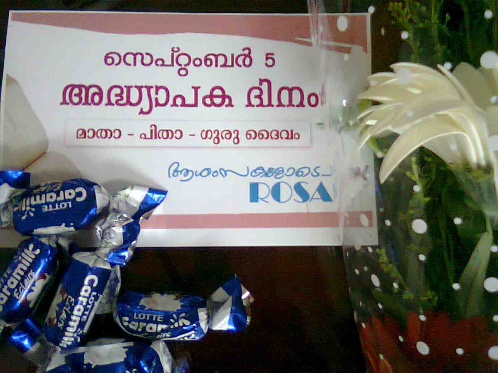 Co operative Arts Science College Co operative College Colleges In co-operative-arts-science-college-co-operative-college-colleges-in